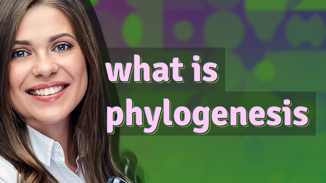 Phylogenesis | meaning of Phylogenesis - YouTube