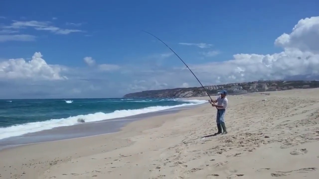 Fishing & Catching Fish Video | bluefish catching | Catching Monster ...