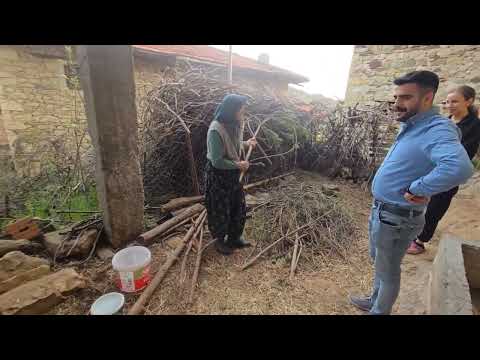 Polen köye geldi Ülker hanım ile bakın nerelere gittik Polenin hayvan sevgisi