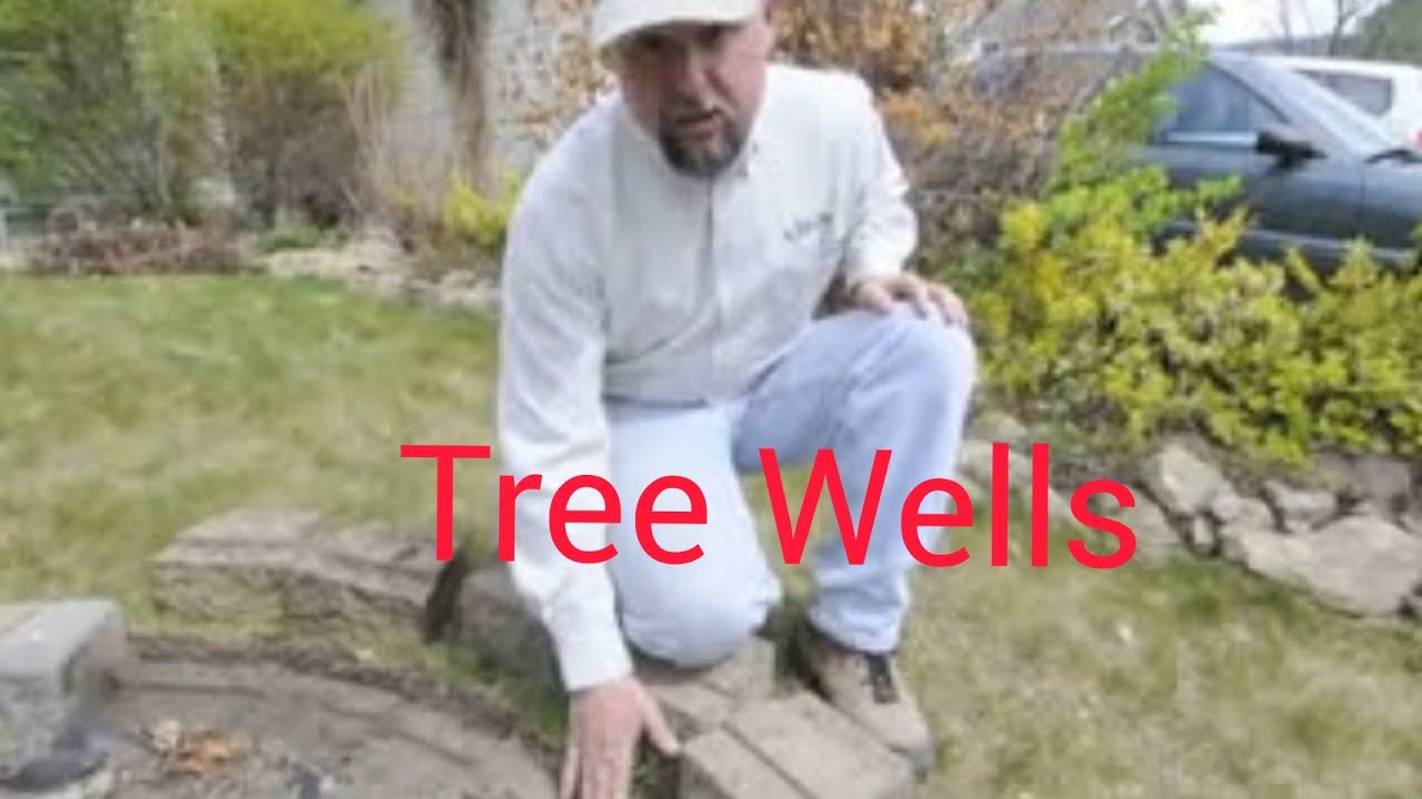 Tree Wells for Tree Health! - YouTube