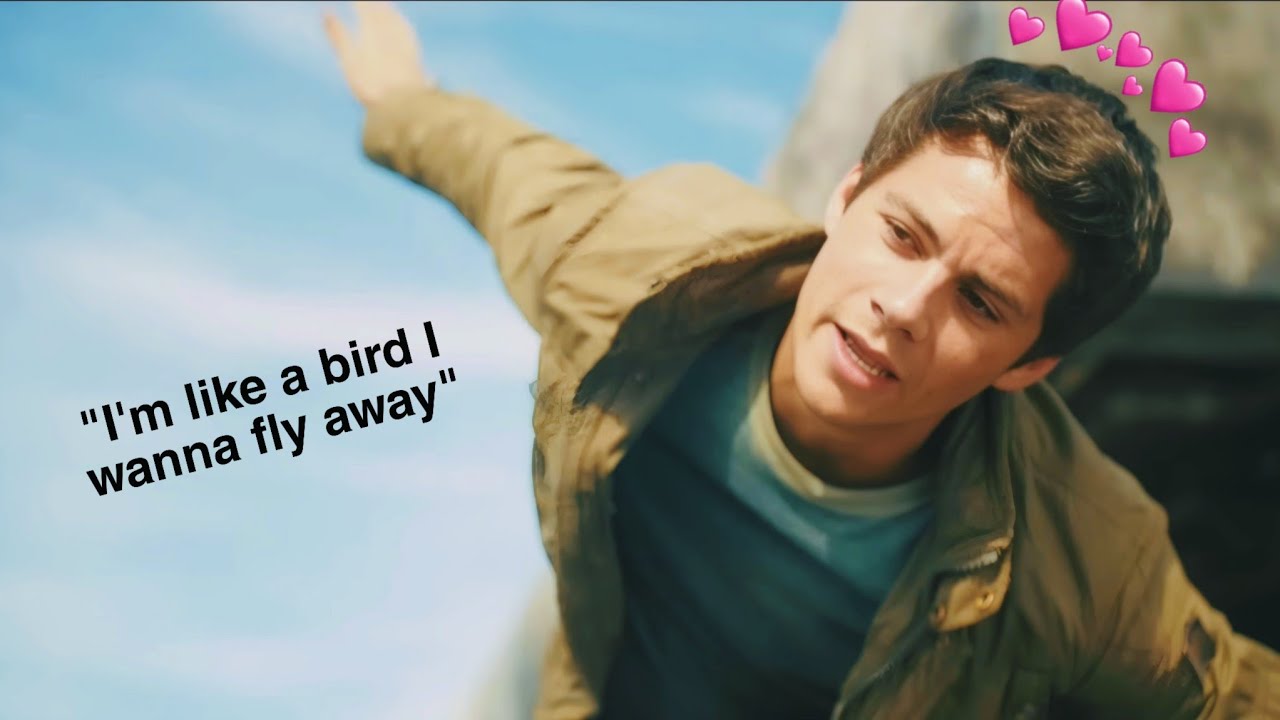 the maze runner bloopers that lives rent free in my head. - YouTube
