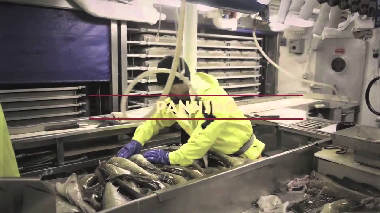 Sustainable Alaska Cod Fishing - The Story of a Commercial Longliner ...