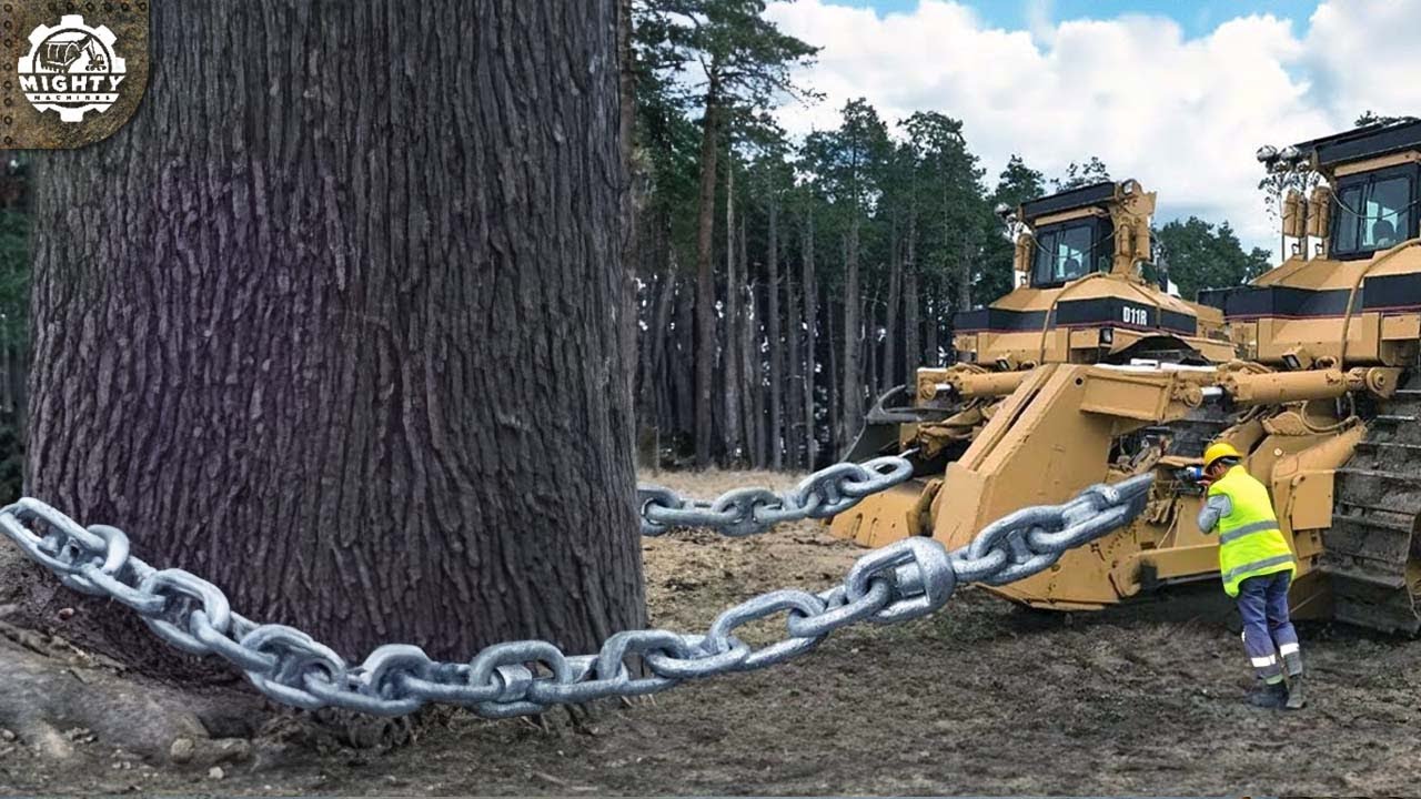 Wake-Up Call: Bulldozers And Anchor Chains Ripping Out Our Landscape ...