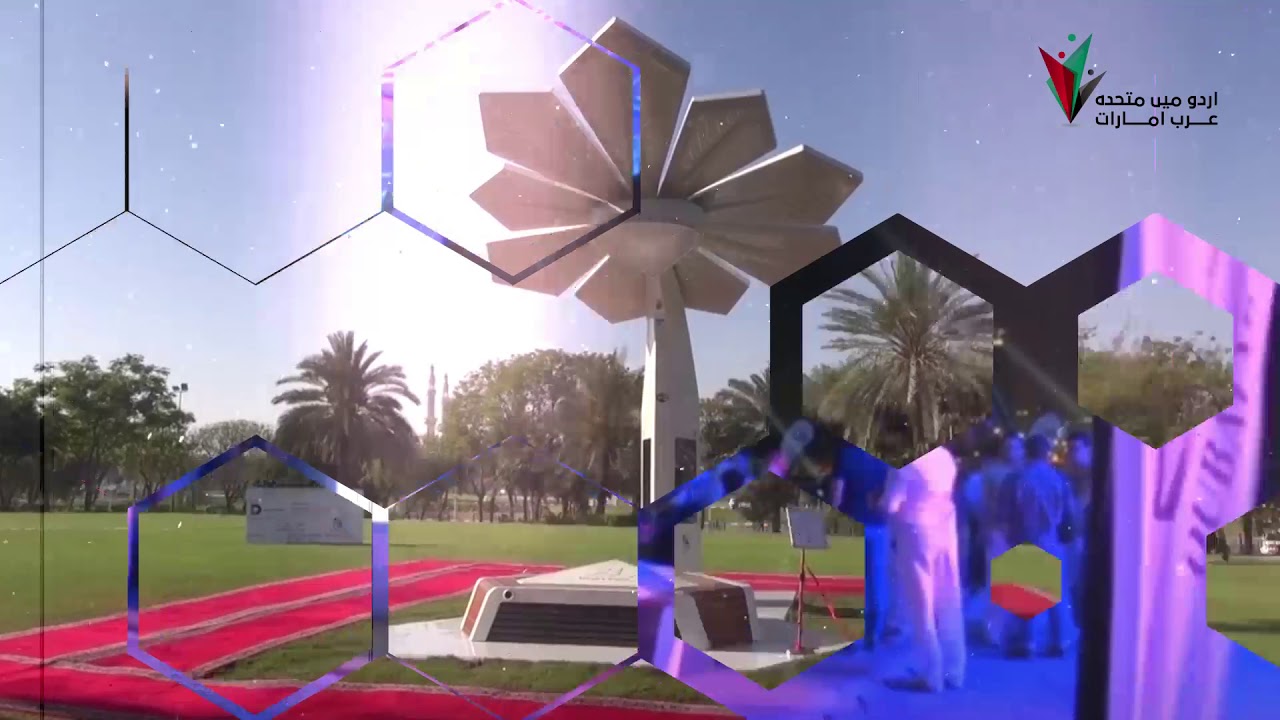 Technical Palm Tree in Dubai |Must Watch| - YouTube