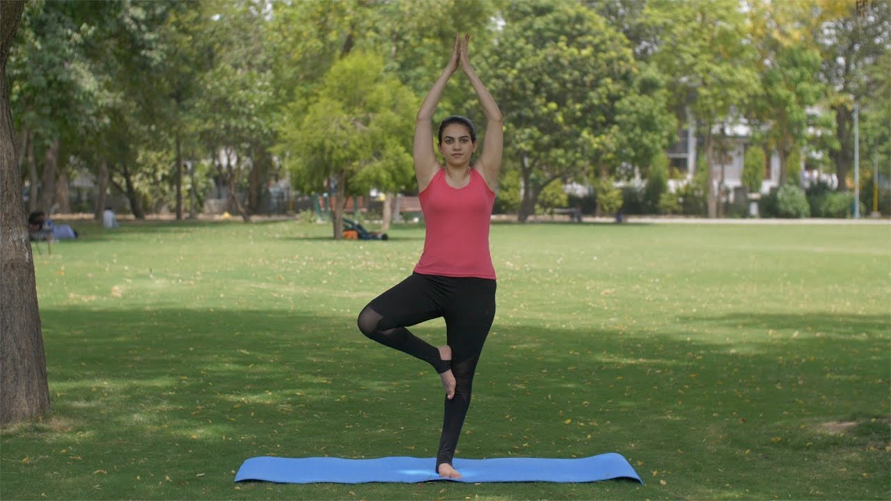 Young focused woman doing yoga asanas early morning in a park | Indian ...