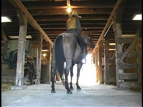 Double K Ranch Video - YouTube