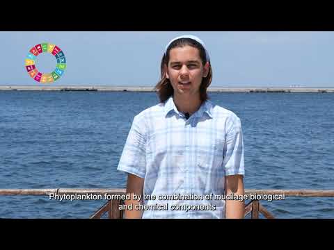 Müsilaj'da bertaraf doğru yöntem mi? #çevreningençsözcüleri #SÜGEPAcademy