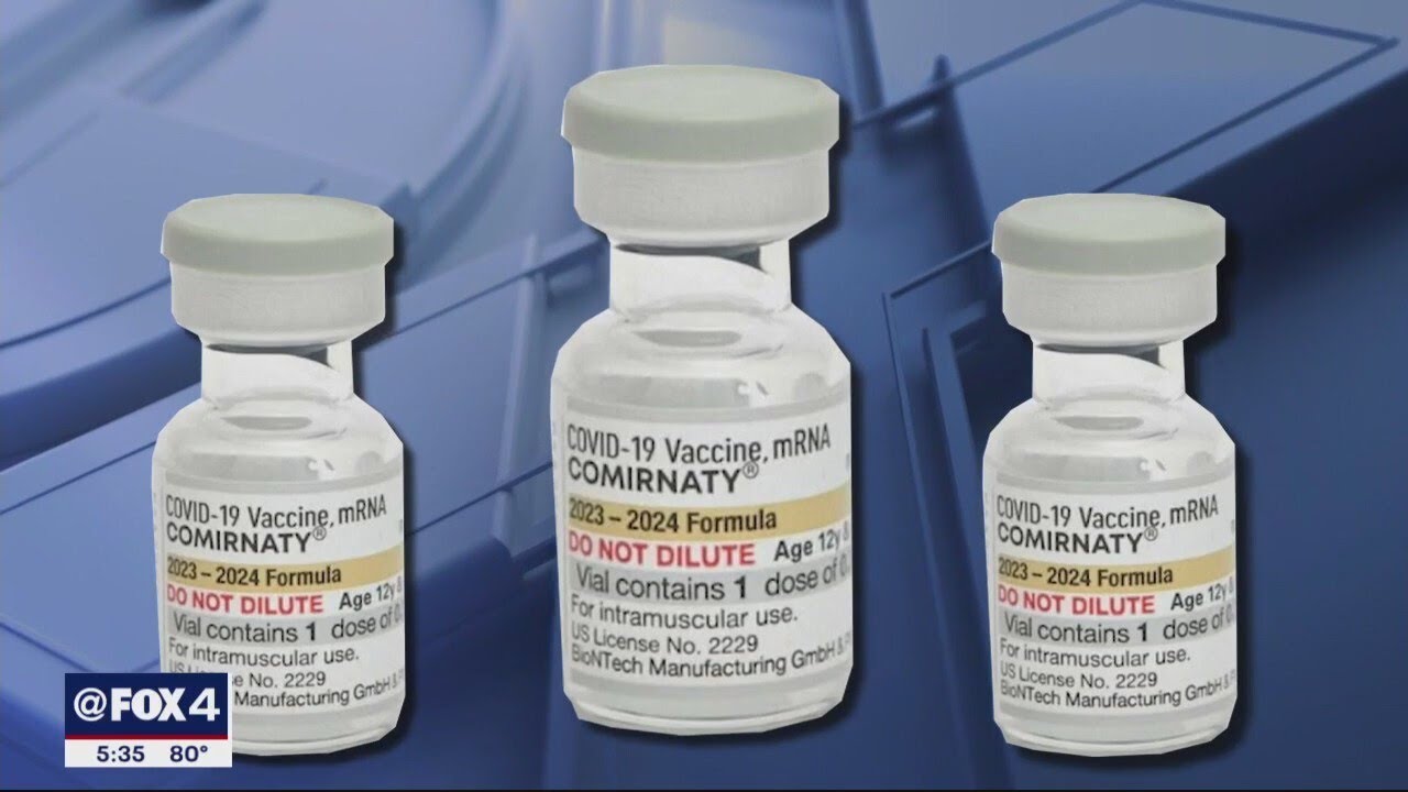 CDC panel recommends shots for ages 6 months and older - YouTube