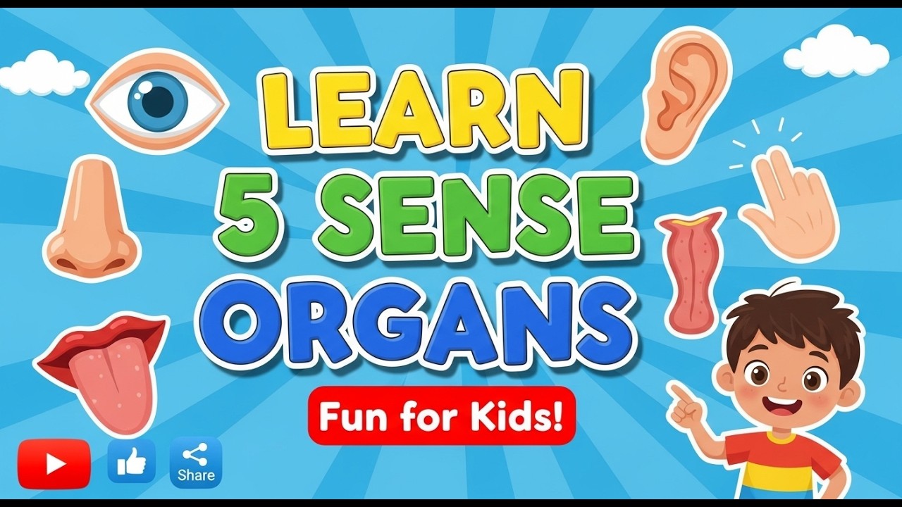 Learn About Sense Organs – Fun Learning for Kids | Five Sense Organs ...