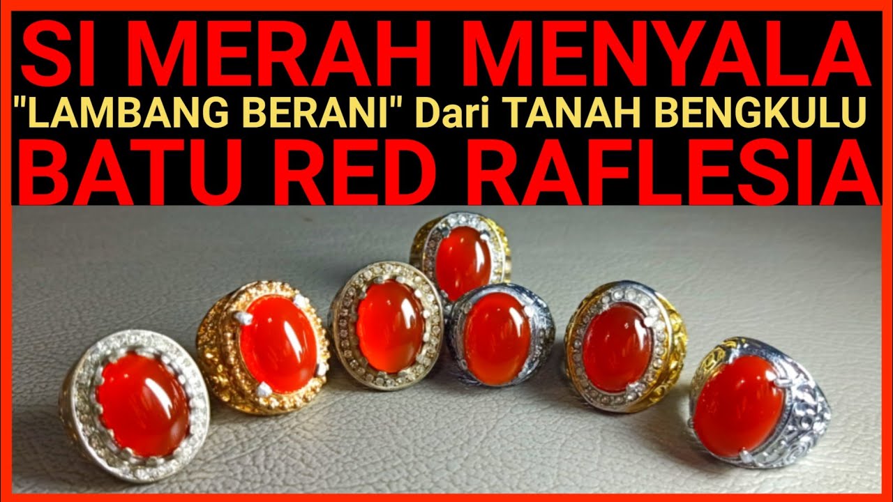 Si MERAH MENYALA "LAMBANG BERANI" Dari Tanah BENGKULU. (BATU RED ...