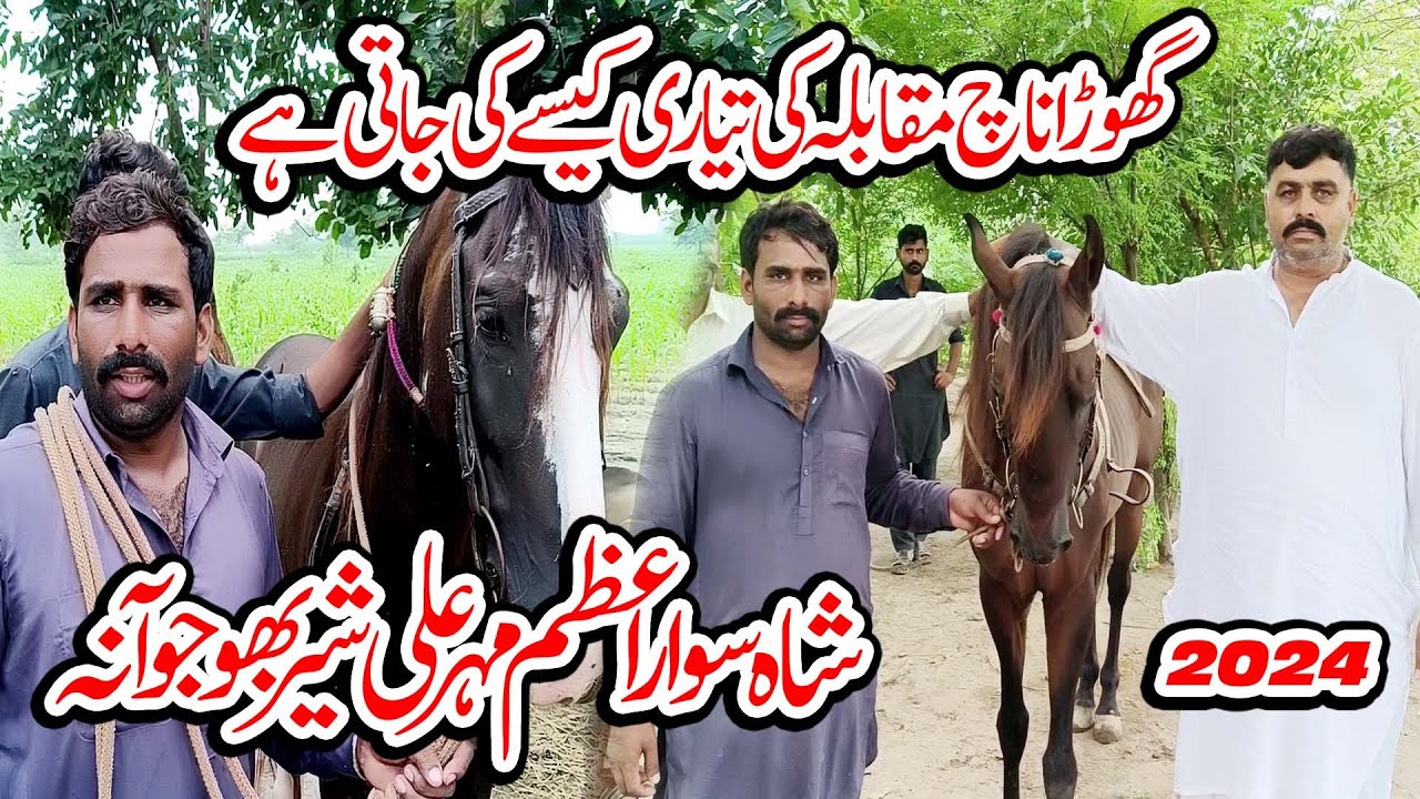 Ali Shear Bhojoana l Pakhra Sultan Mela l Prectis l Preparing Horse ...