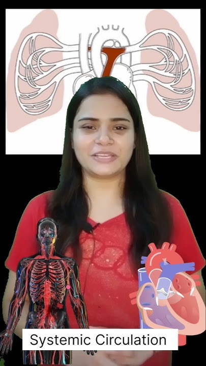 |All about double circulation in just 1 min| body fluids and circulation#neet2025#circulation# ...