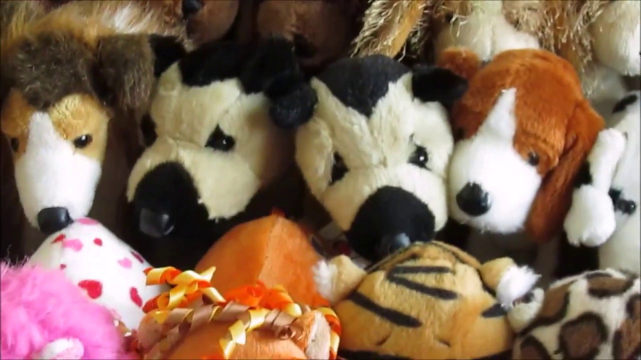 My HUGE Webkinz Collection! (2/6/17) - YouTube