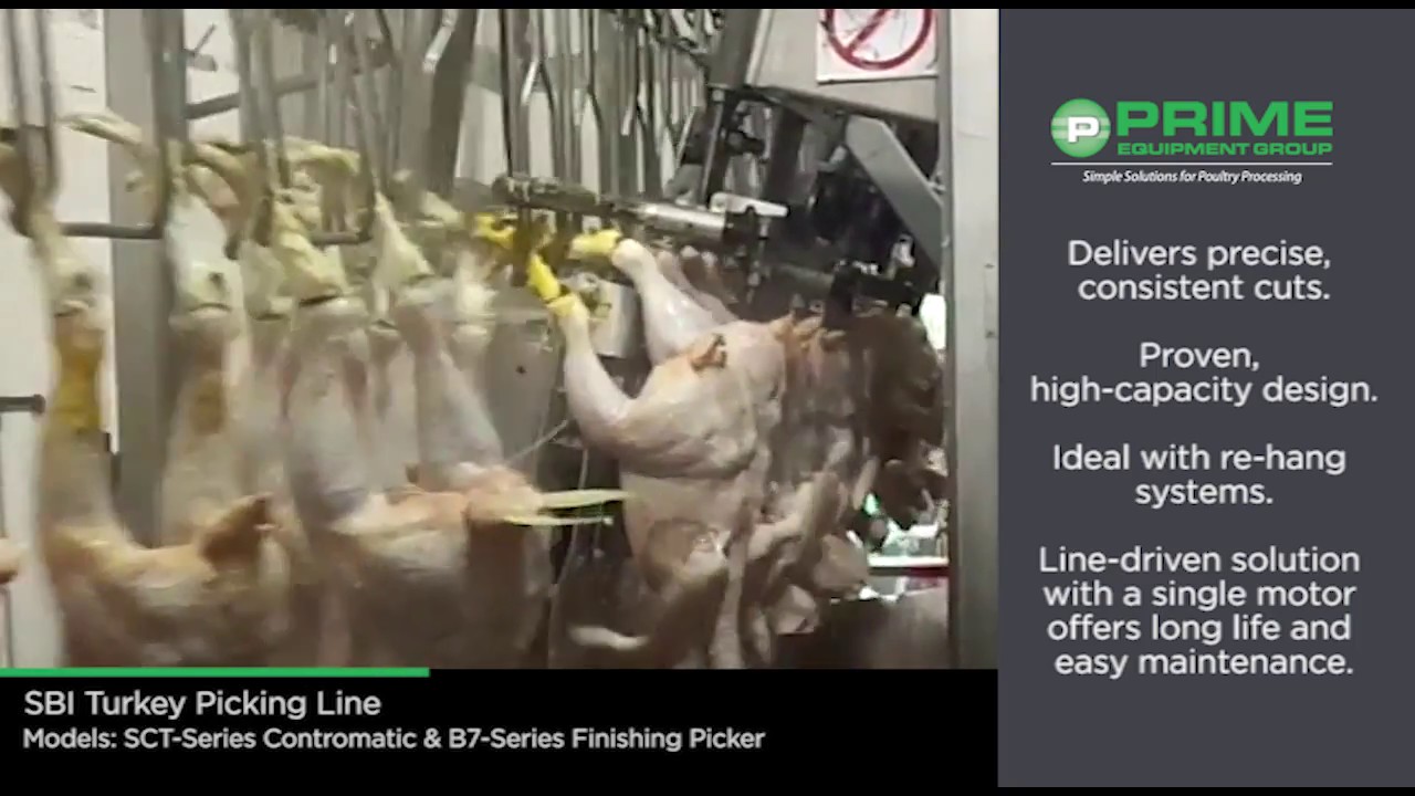 HAM VI B Hock Cutter - YouTube