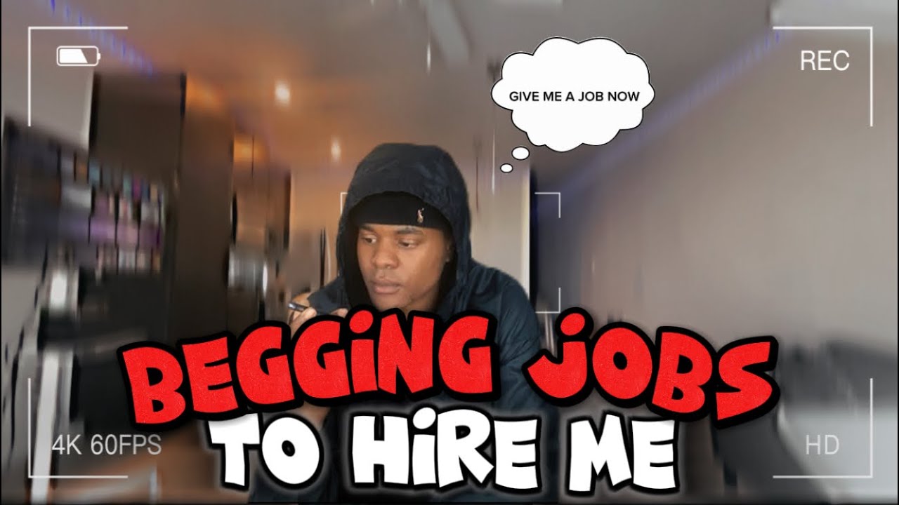 BEGGING JOBS TO HIRE ME…HILARIOUS - YouTube