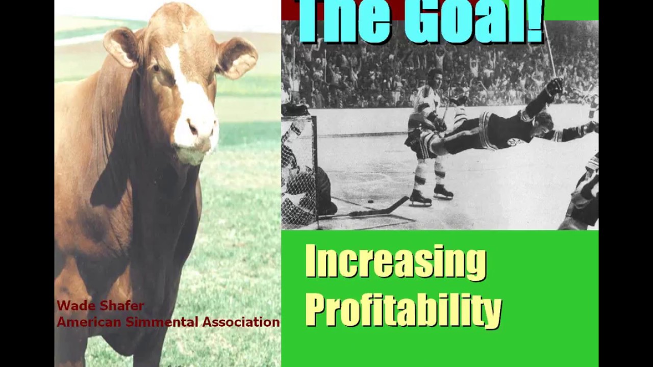 Improving Profit Via Genetics Dr. Wade Shafer - YouTube