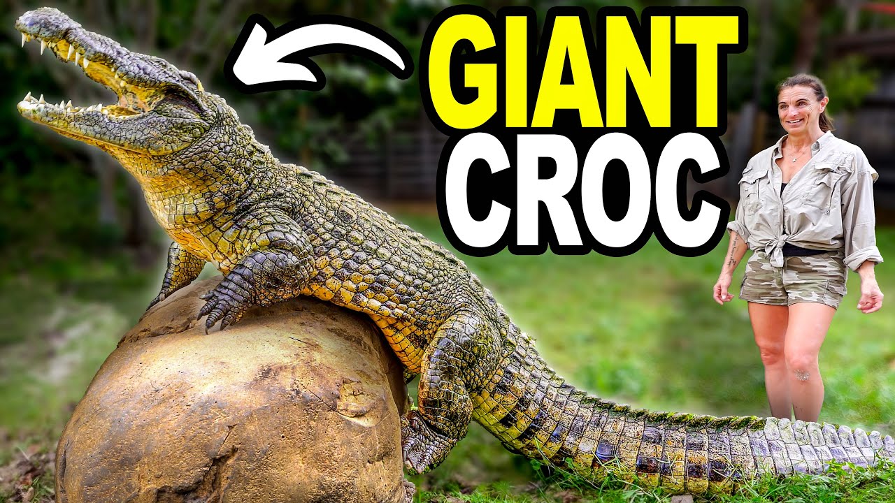 Brian Would Be Shocked To See This! - YouTube