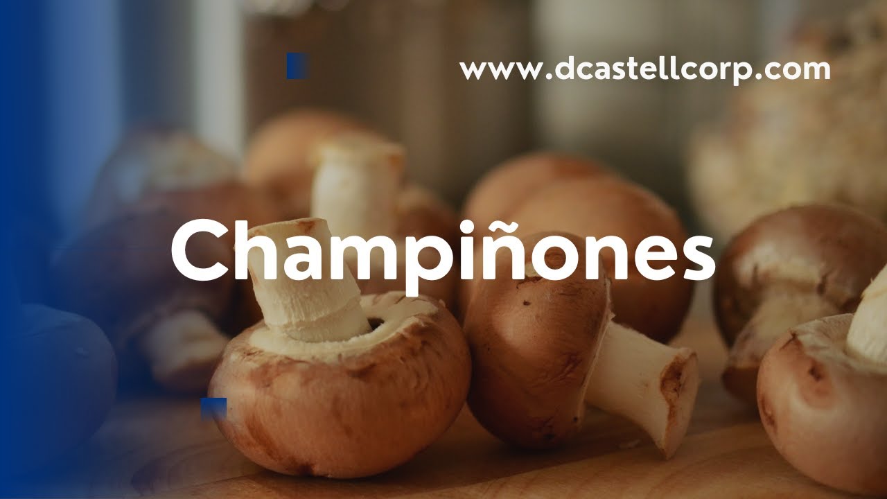 Champiñones Enlatados - YouTube