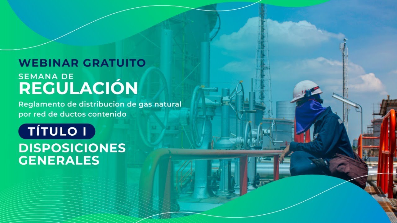 REGLAMENTO DE DISTRIBUCION DE GAS NATURAL POR RED DE DUCTOS: TÍTULO I ...