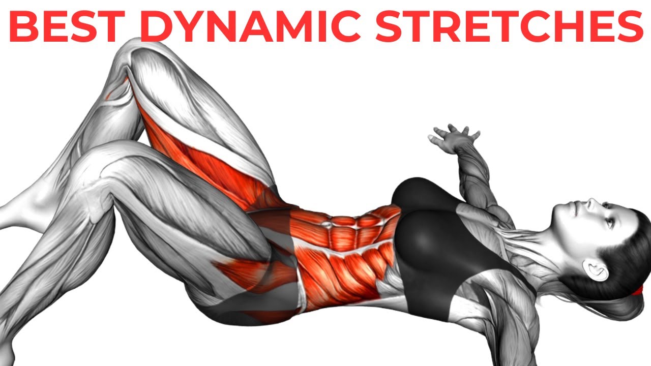 12 Min Full Body Dynamic Stretch Exercise - YouTube