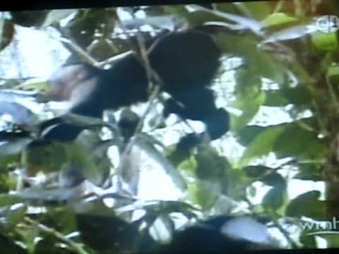 MVI 2895