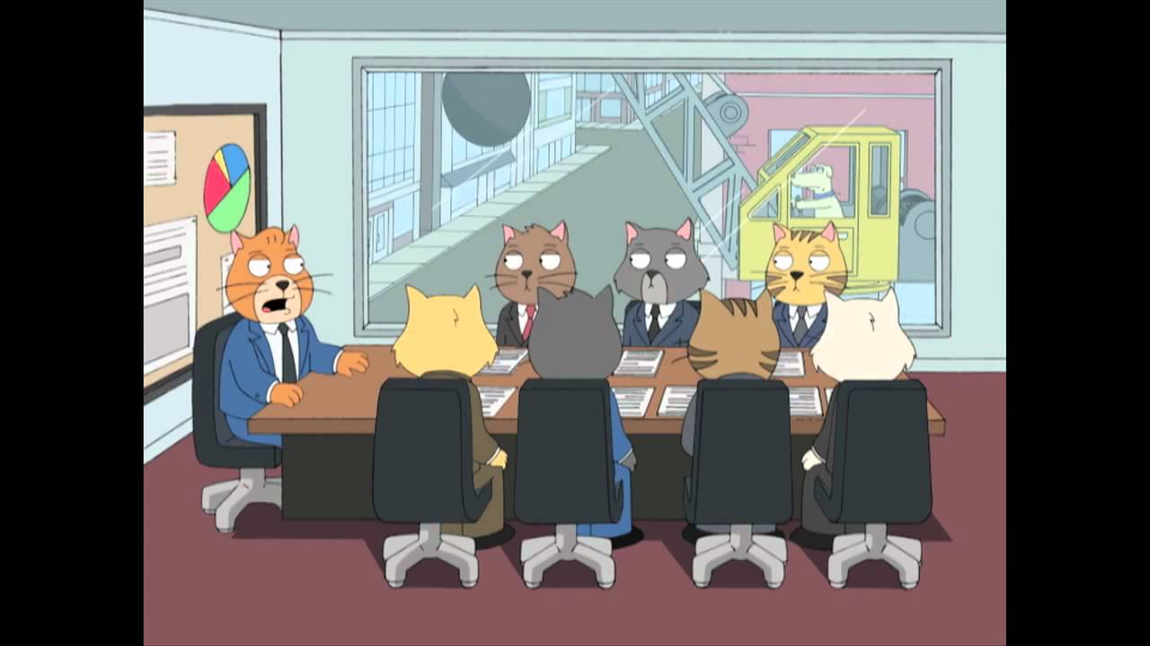 Cat Staff Meeting - YouTube