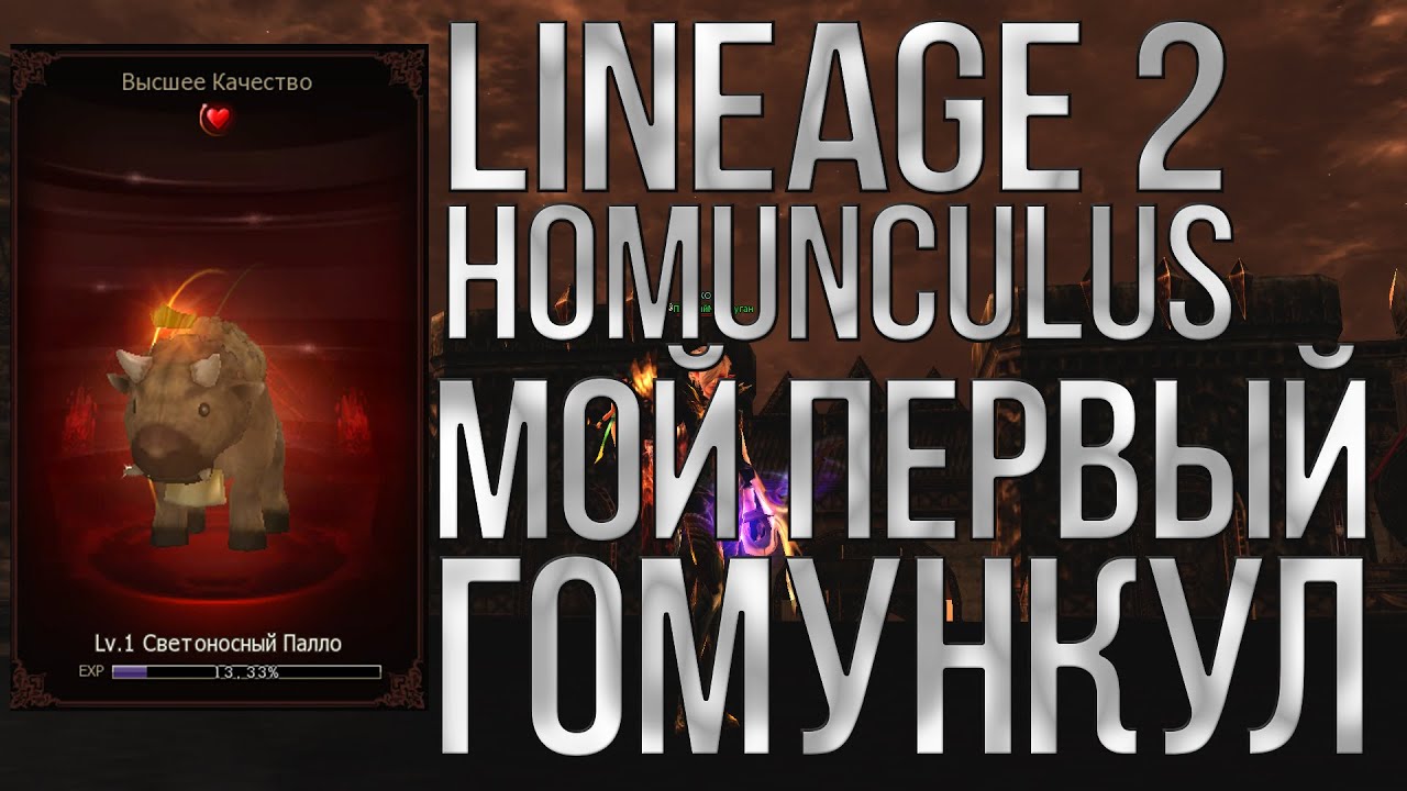 Lineage 2 Homunculus: МОЙ ПЕРВЫЙ гомункул!!! - YouTube