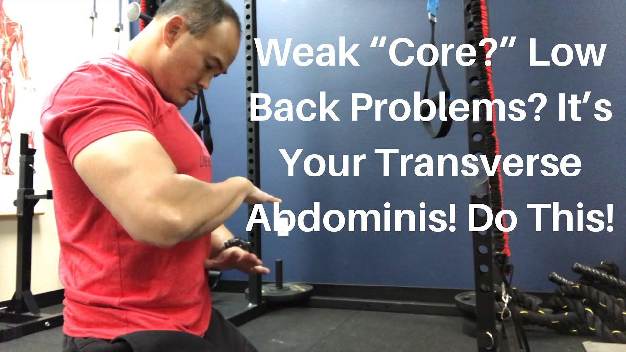 Weak “Core?” Low Back Problems? It’s Your Transverse Abdominis! Do This ...