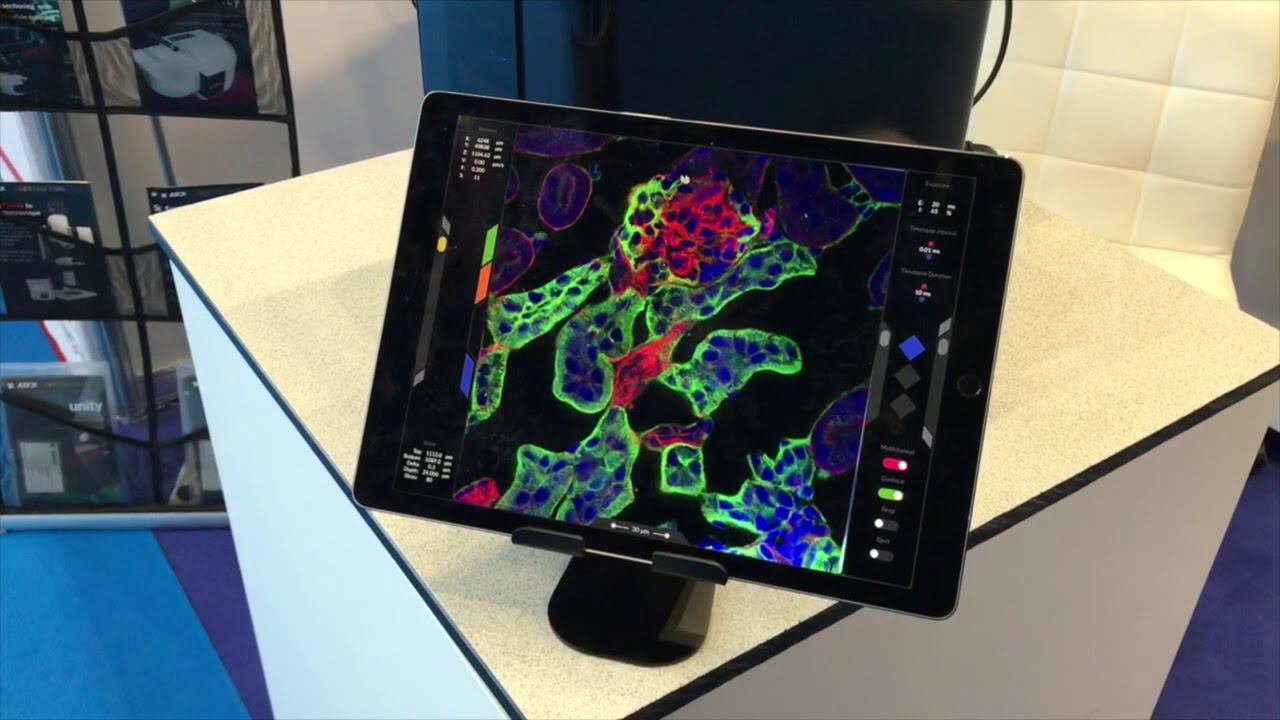 Aurox unity - 3 channel confocal z stack - YouTube