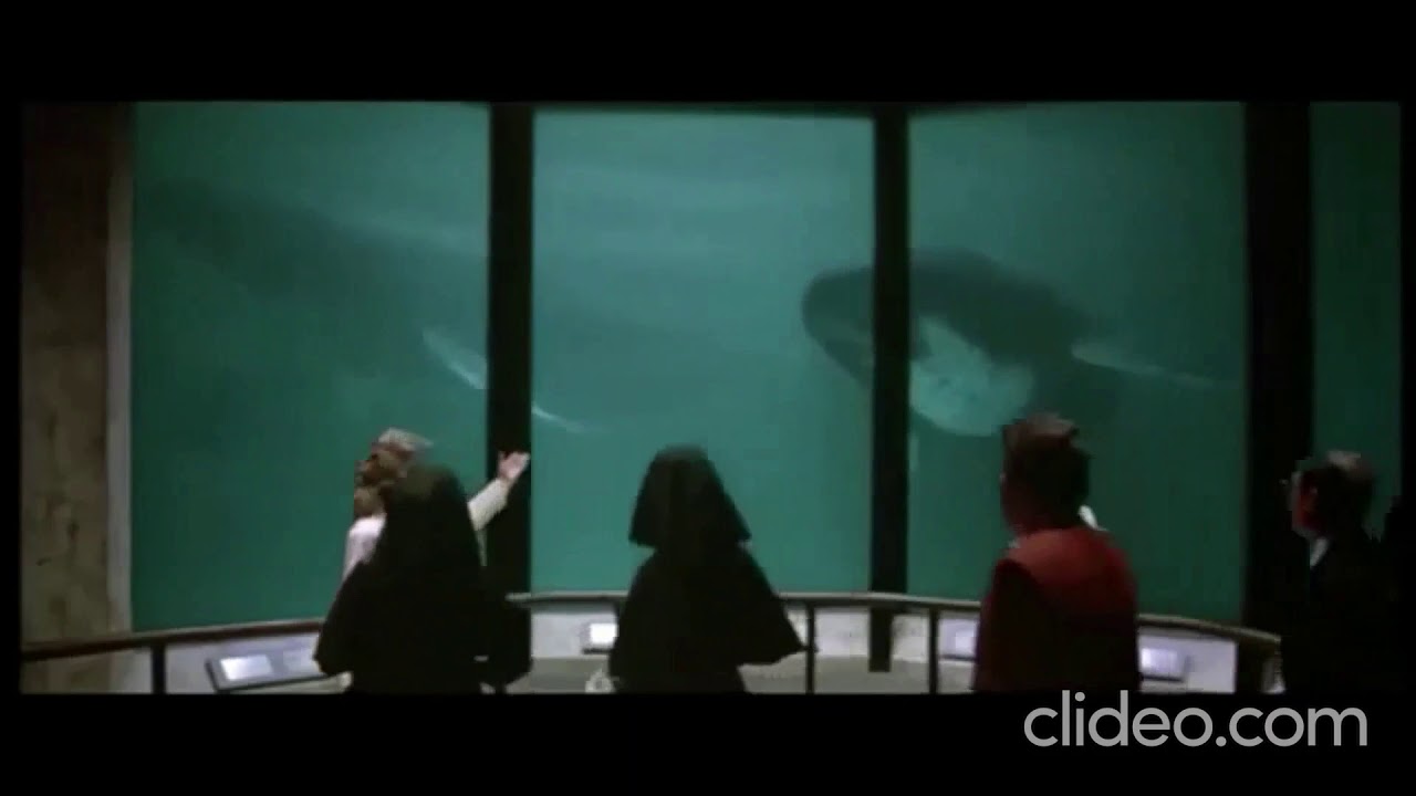 spock swims with a whale at monterey 1986 - YouTube
