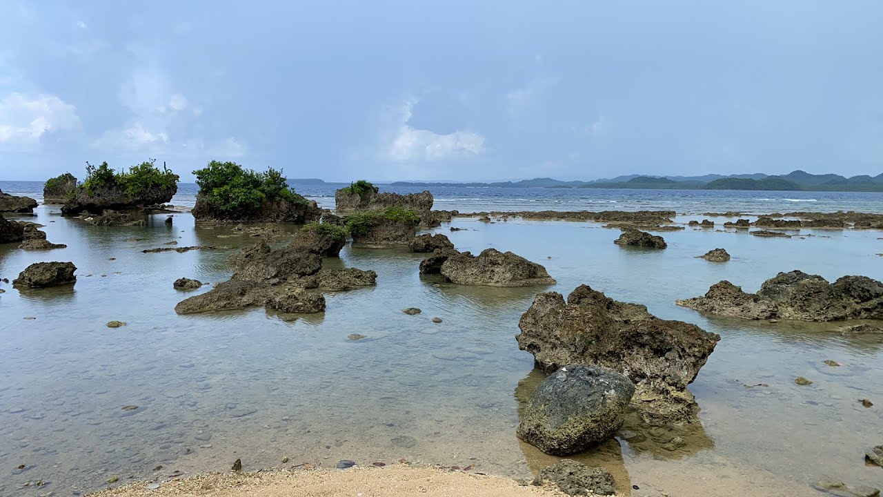 AMAZING BORONGAN - YouTube