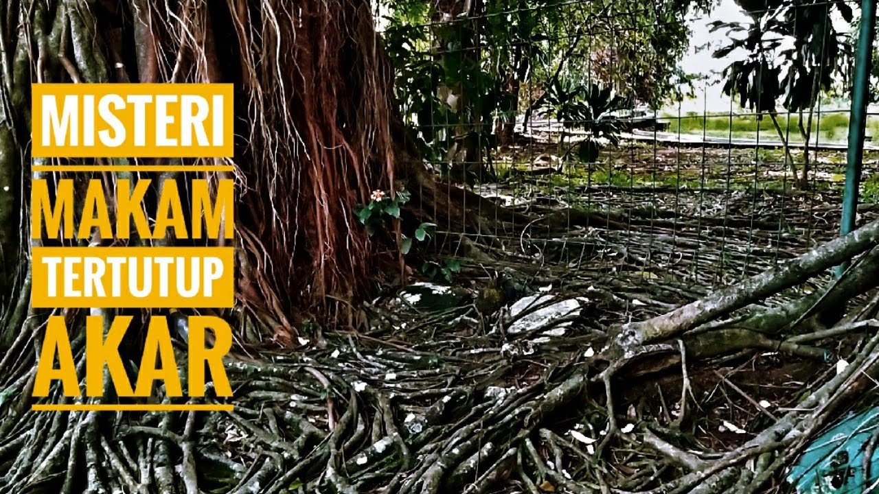 Penelusuran Makam Tertutup Akar Pohon | Gunung Cupu Manik Astagina ...