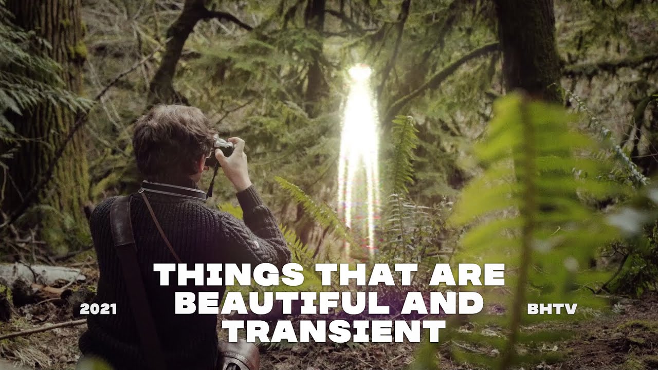 Things That Are Beautiful and Transient - YouTube