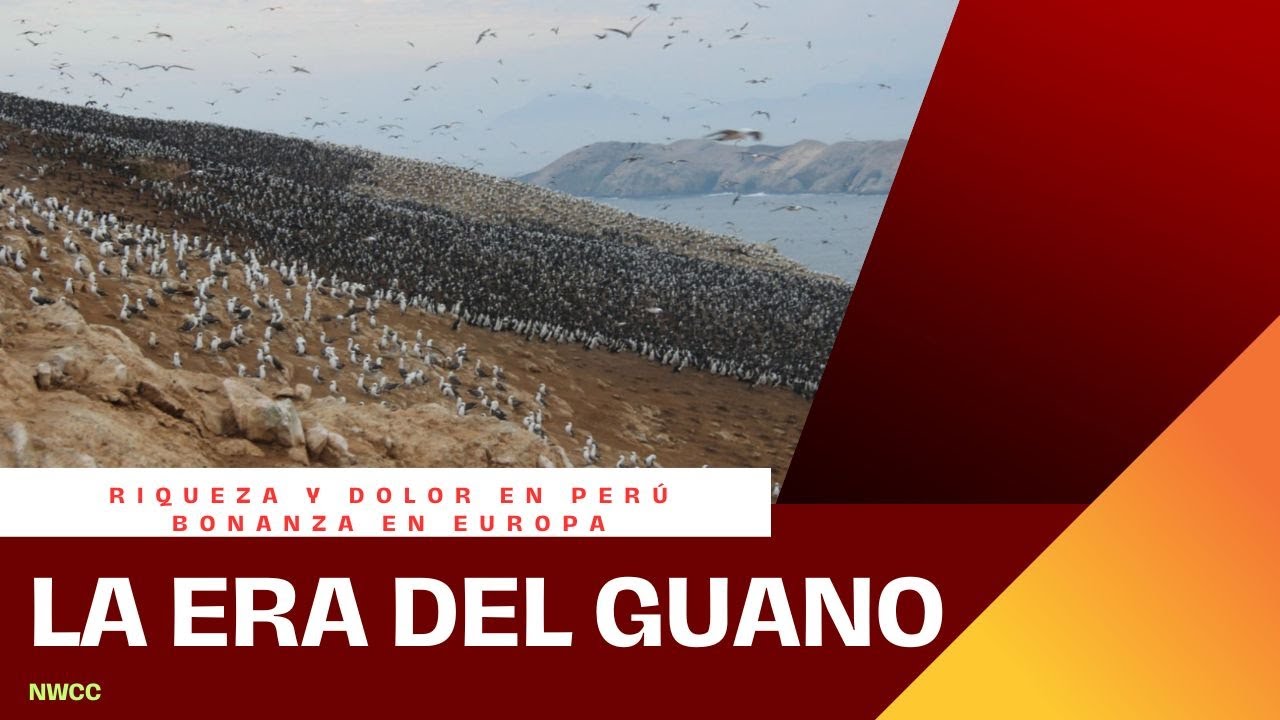 La Era del Guano - Riqueza y Dolor en Perú - Bonanza en Europa - YouTube