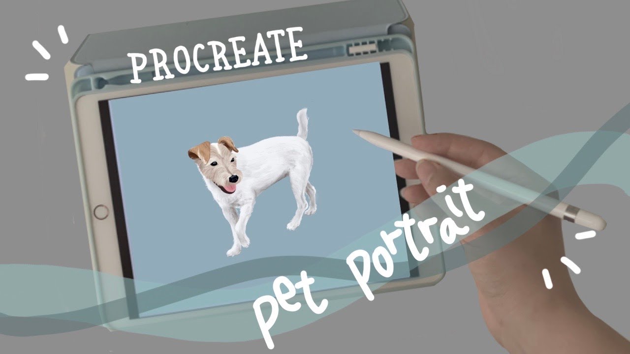 Procreate | Pet Portrait Illustration - YouTube