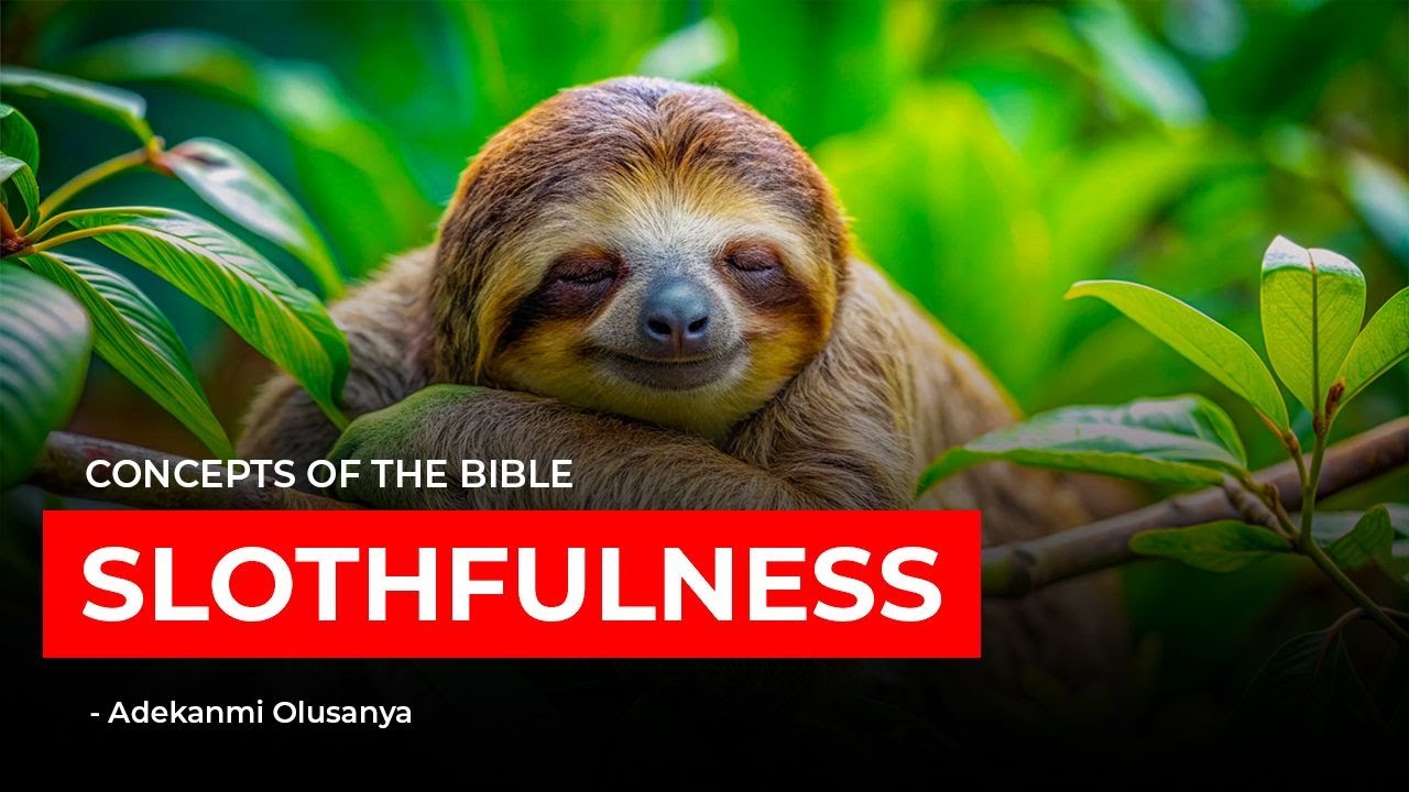 Concepts Of the Bible – SLOTHFULNESS - YouTube