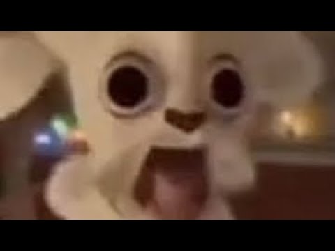 Funni streams moments part 3!! (final) - YouTube