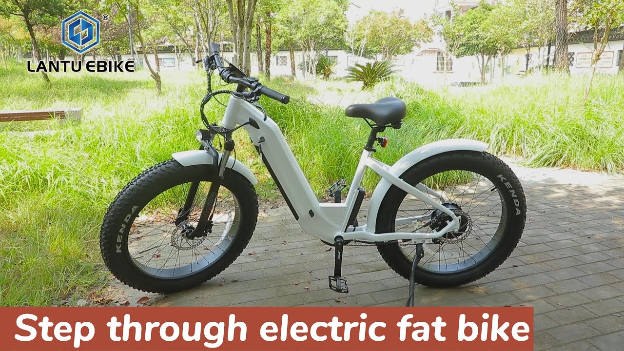 OEM factory step through fat tire electric mountain bike for women ...