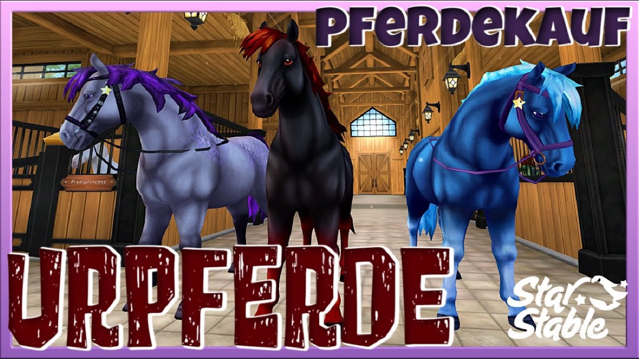 Wir KAUFEN die ISLAND-URPFERDE 🦄 Star Stable Pferdekauf [SSO] - YouTube