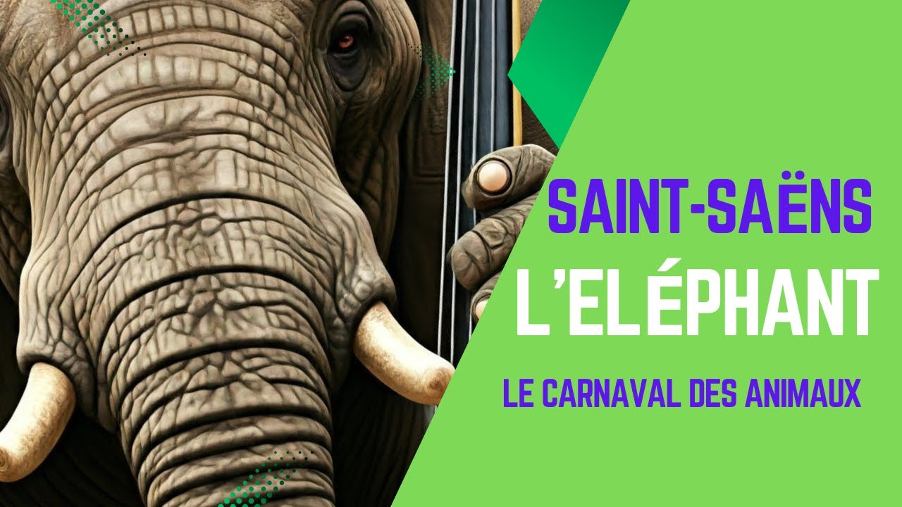 Camille Saint-Saens | Carnaval dos Animais | Elefante - YouTube