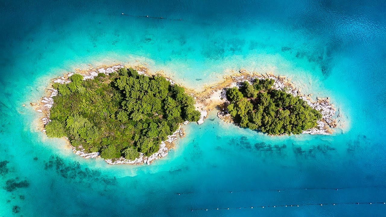 🌊 Calming Ocean Waves, Sea Animals and Nature Sounds • Relaxation ...
