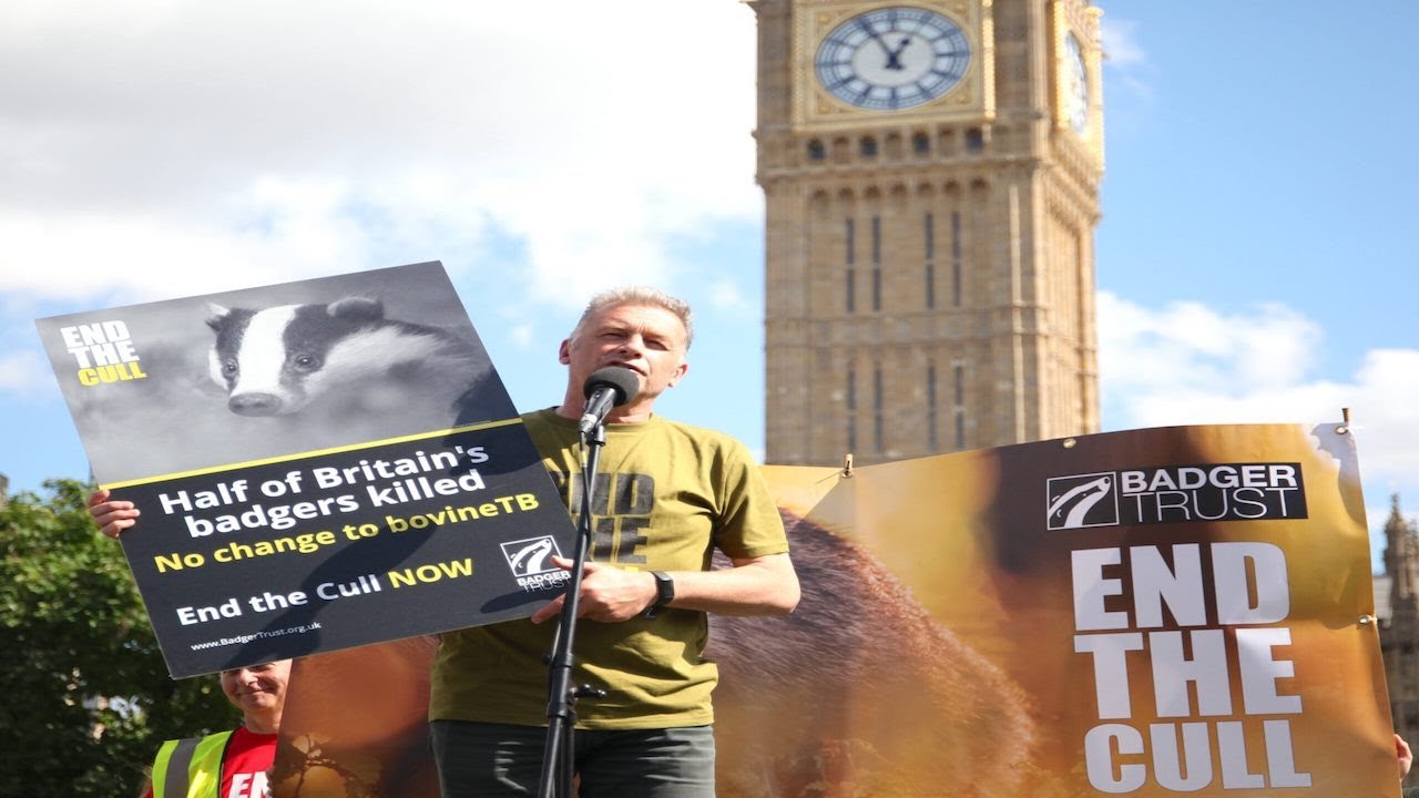 Chris Packham Badger National Day of Action 3 September 2024 - YouTube