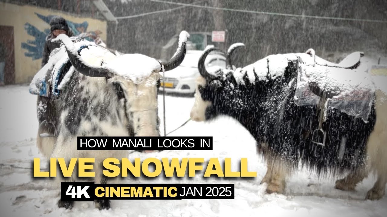 How Manali looks in Live Snowfall 4K Cinematic # ...