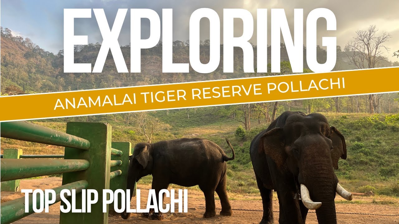 Anamalai tiger reserve |Top Slip Pollachi |Anamalai tiger reserve ...