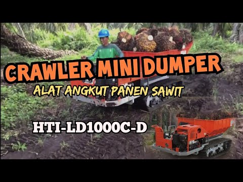 Alat angkut sawit Crawler mini dumper - YouTube