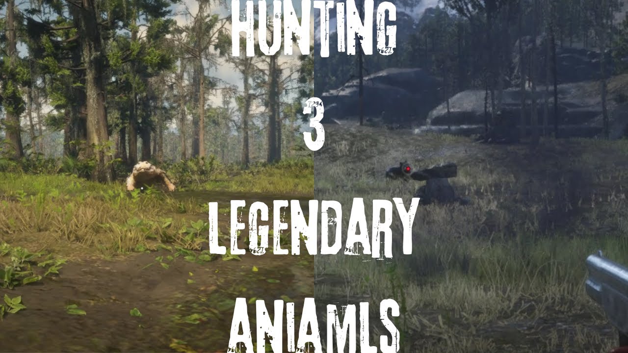 3 legendary animal location in rdr2! - YouTube