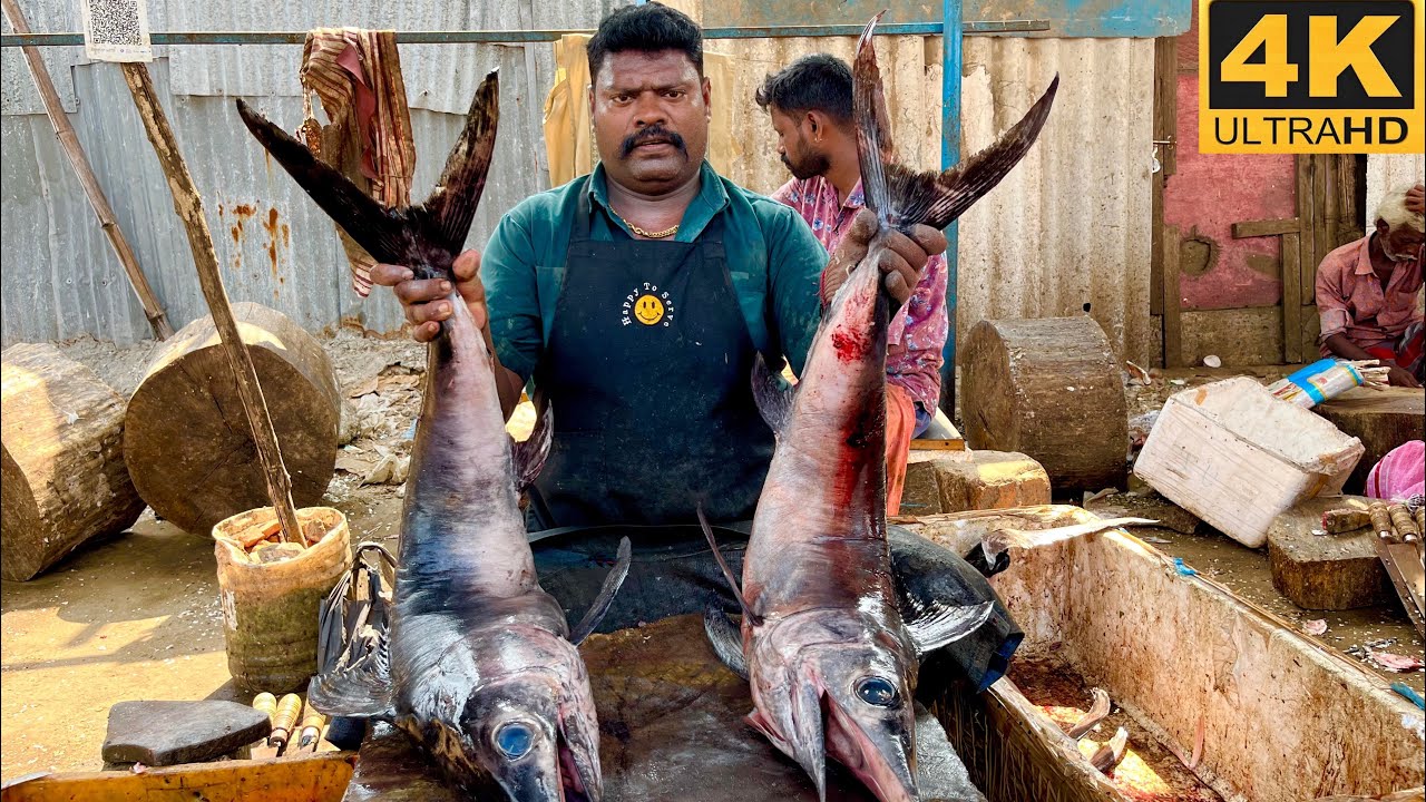 Panni Kola fish cutting video/Fishcuttingrs #fishcuttingrs #kasimedu # ...