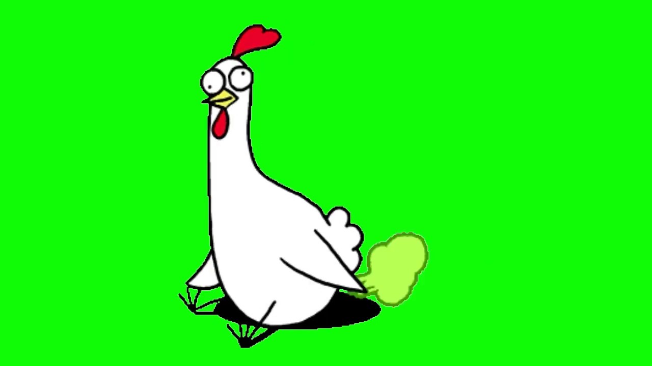 Chicken green screen video | Funny Chickens - YouTube