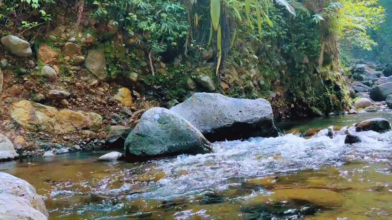 Nature Sounds Waterfall River Relaxation Meditation-Relaxing Calm River ...