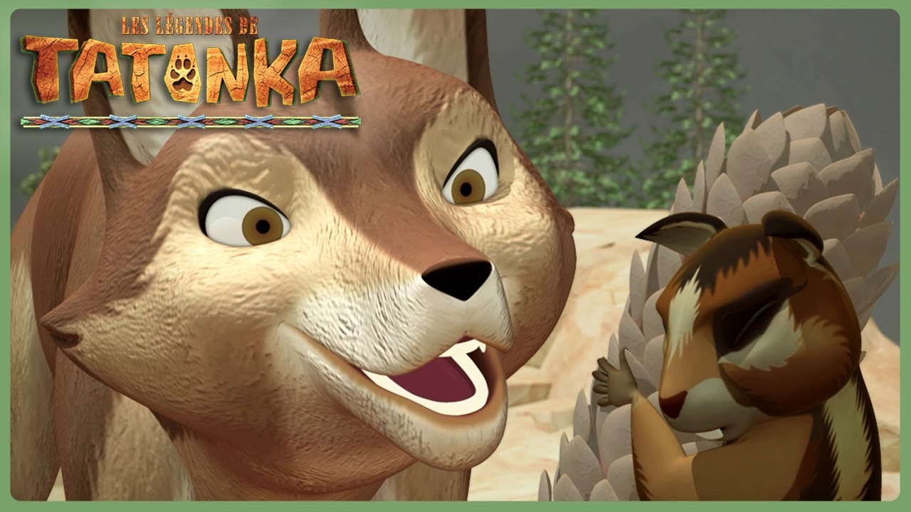 Panique d’Éclipse : Coyotes dans le Noir ! 🌑🦊Compilation 1H | Tatonka ...